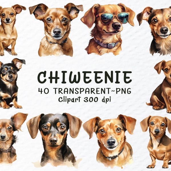 Chiweenie Decal - Etsy