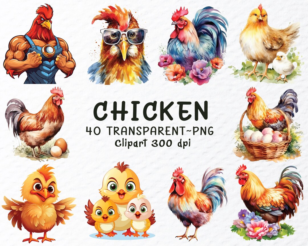 Watercolor Chicken Png Clipart Bundle | Chicken Png Files, Chicken Coop ...