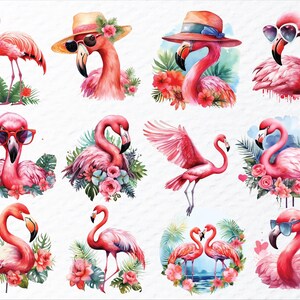 Watercolor Flamingos PNG Clipart Bundle: Transparent Birds Decal ...