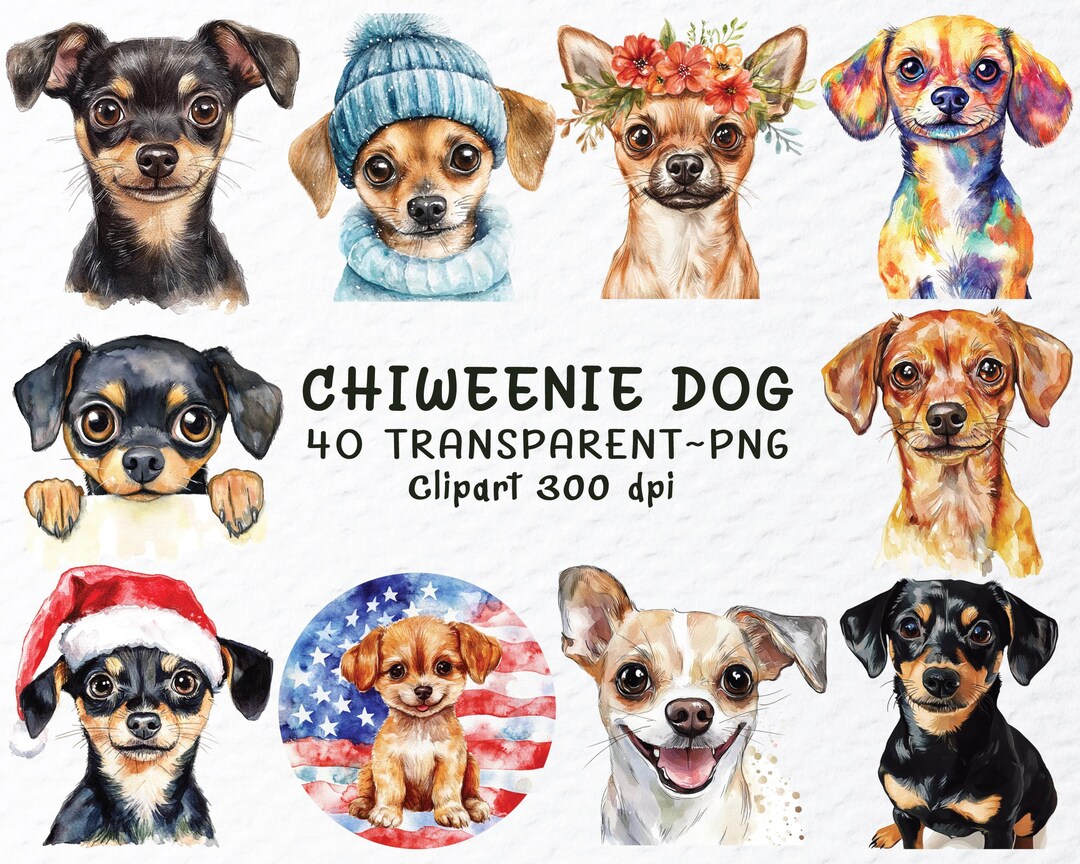 Chiweenie Dog Png Clipart Bundle | Chiweenie Dog Decal Designs, Dogs ...