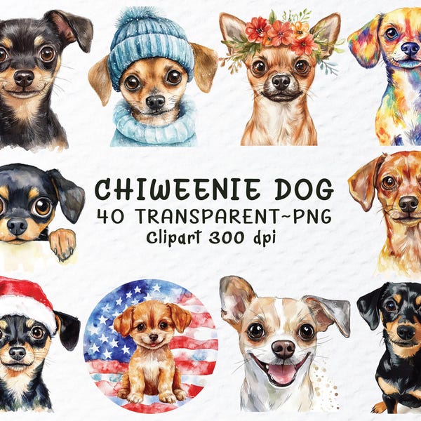 Chiweenie Decal - Etsy