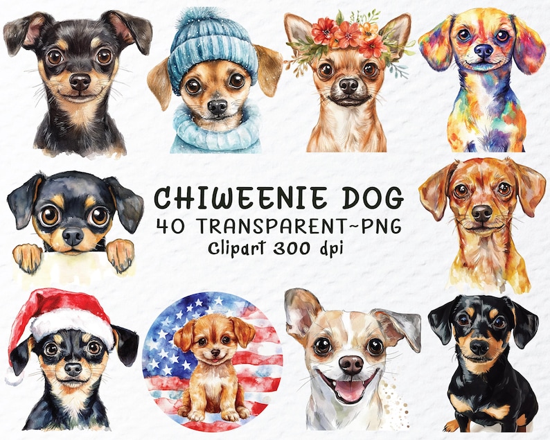 Chiweenie Dog Png Clipart Bundle | Chiweenie Dog Decal Designs, Dogs ...