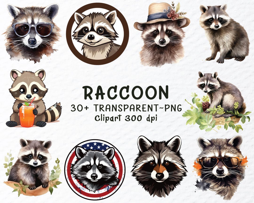 Raccoon Png Clipart Bundle | Watercolor Raccoon Png Files, Funny Grumpy ...