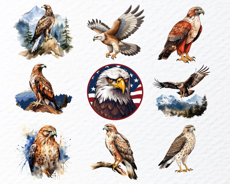 Watercolor Hawk Png Clipart Bundle, Hawk Png Files, Cooper's Hawk ...
