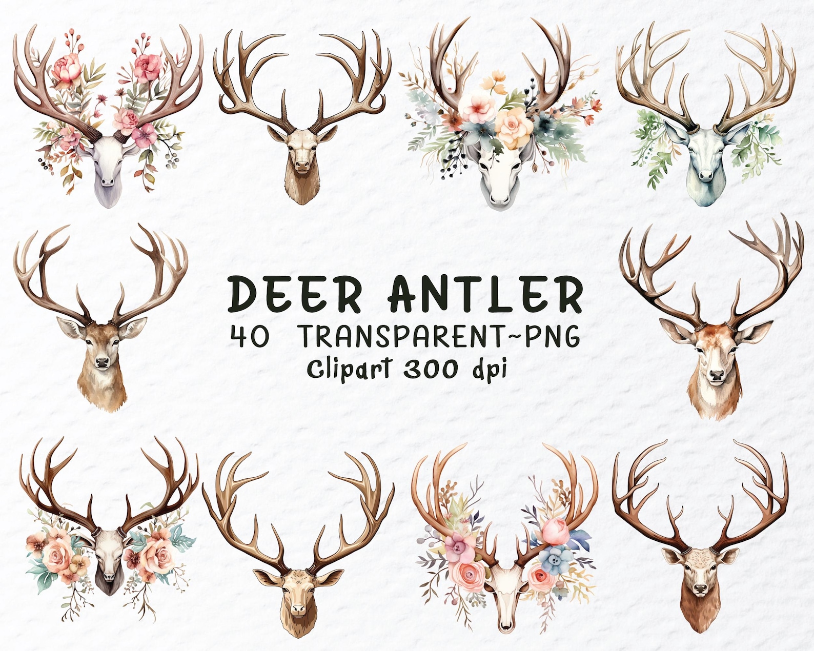 Watercolor Deer Antlers Clipart: Floral Wildlife PNG (digital Download ...