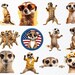 Meerkat Png Clipart Bundle, Watercolor Meerkat Png Files, Safari Animal ...