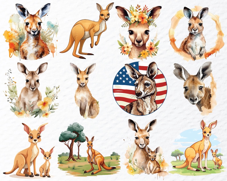 Kangaroo Png Clipart Bundle | Watercolor Kangaroo Png Files ...