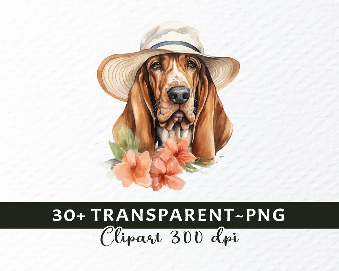 Watercolor Basset Hound Clipart: Dog PNG File (digital Download) - Etsy