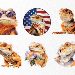 Watercolor Bearded Dragon Png Clipart Bundle | Bearded Dragon Png Files ...