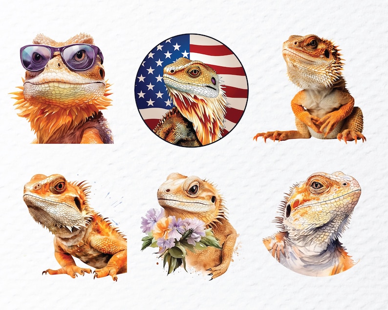 Watercolor Bearded Dragon Png Clipart Bundle | Bearded Dragon Png Files ...