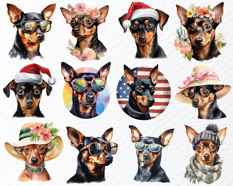 Miniature Pinscher Dog Png Clipart Bundle | Miniature Pinscher Png ...