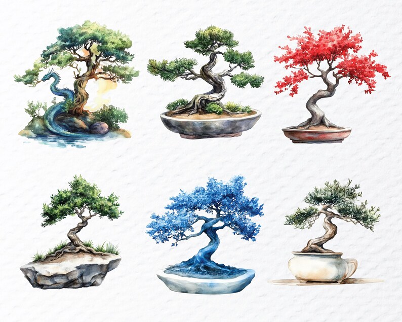 Watercolor Bonsai Tree Clipart Bundle: Japanese PNG Files (digital ...