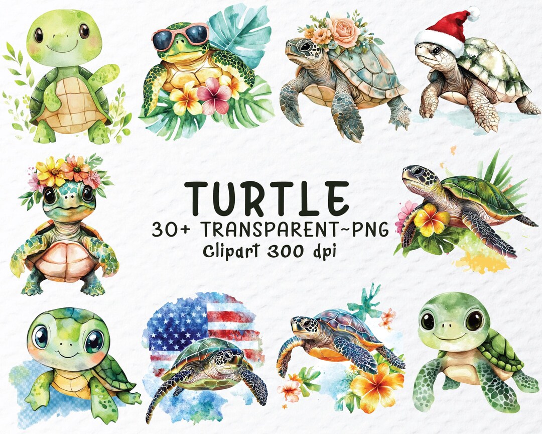 Watercolor Turtle Png Clipart Bundle, Turtle Png Files, Ocean Animals ...