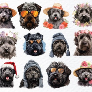 Bouvier Des Flandres Dog Png Clipart Bundle | Puppies Png Files, Dogs ...