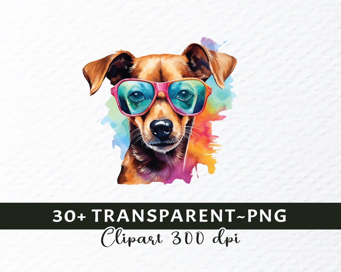Watercolor Chiweenie Dog Clipart Bundle: Transparent PNG Files - Etsy