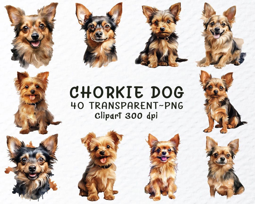 Watercolor Chorkie Dog Clipart Bundle: Transparent PNG Files - Etsy