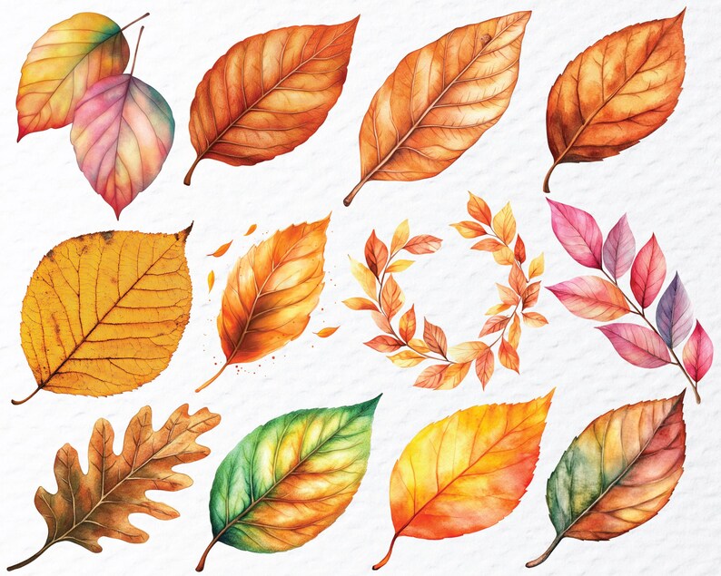Autumn Leaf Png Clipart Bundle | Watercolor Autumn Leaves Png Files ...