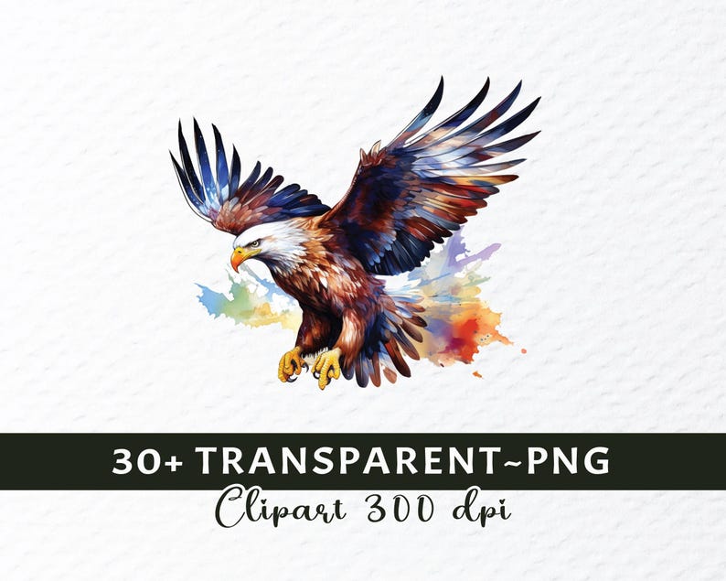 Watercolor Eagle PNG Clipart Bundle: Flying Eagle Decal (digital ...