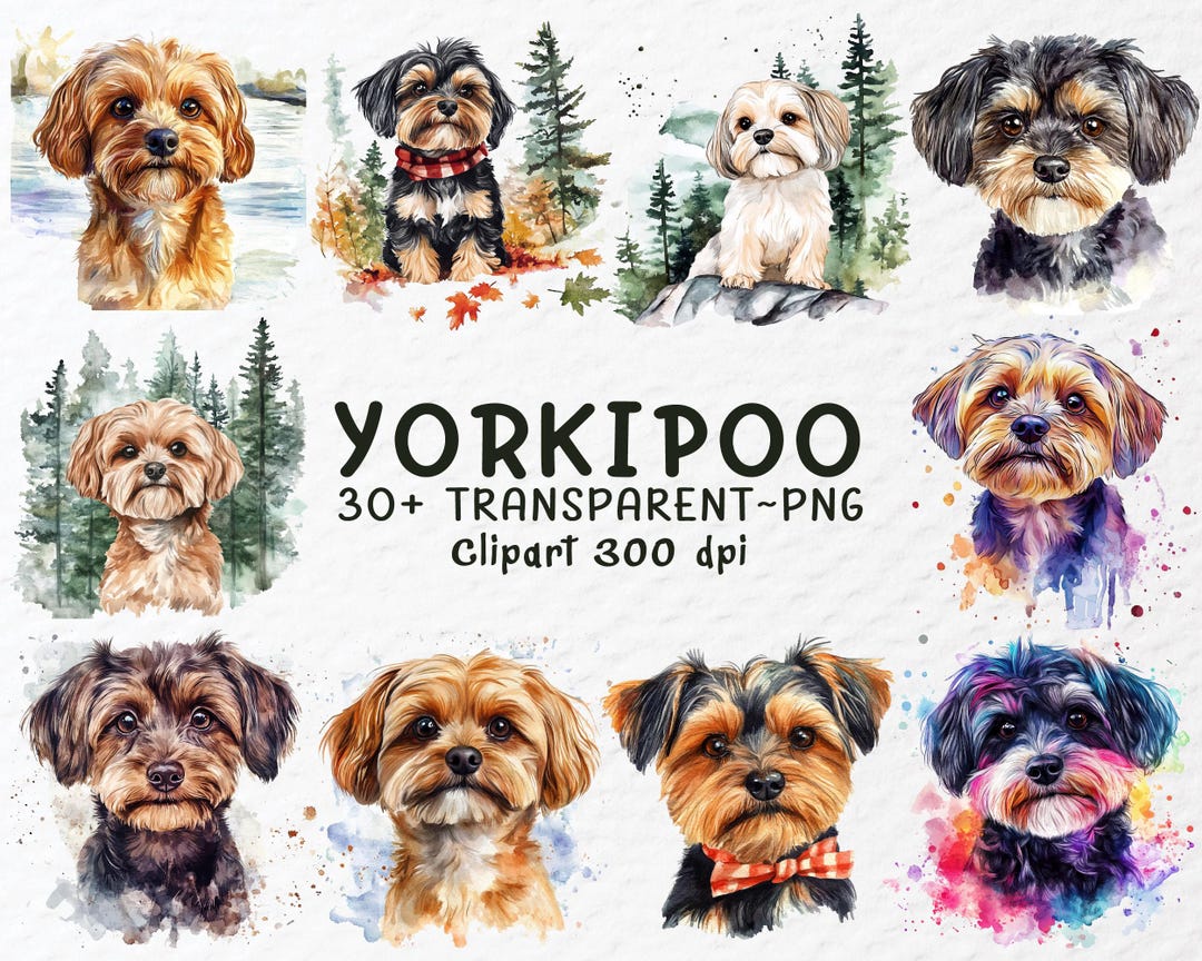 Yorkipoo Clipart Bundle, Yorkie Poo Dog PNG, Small Puppy Cartoon ...