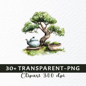 Watercolor Bonsai Tree Clipart Bundle: Japanese PNG Files (digital ...