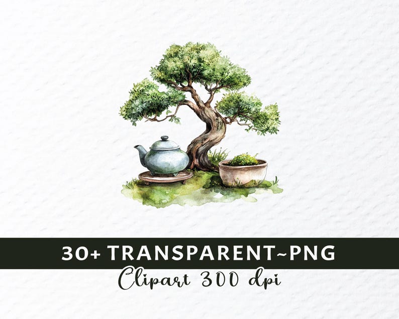 Watercolor Bonsai Tree Clipart Bundle: Japanese PNG Files (digital ...