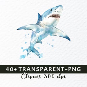 Watercolor Shark Png Clipart Bundle, Shark Png Files, Ocean Animal Png ...