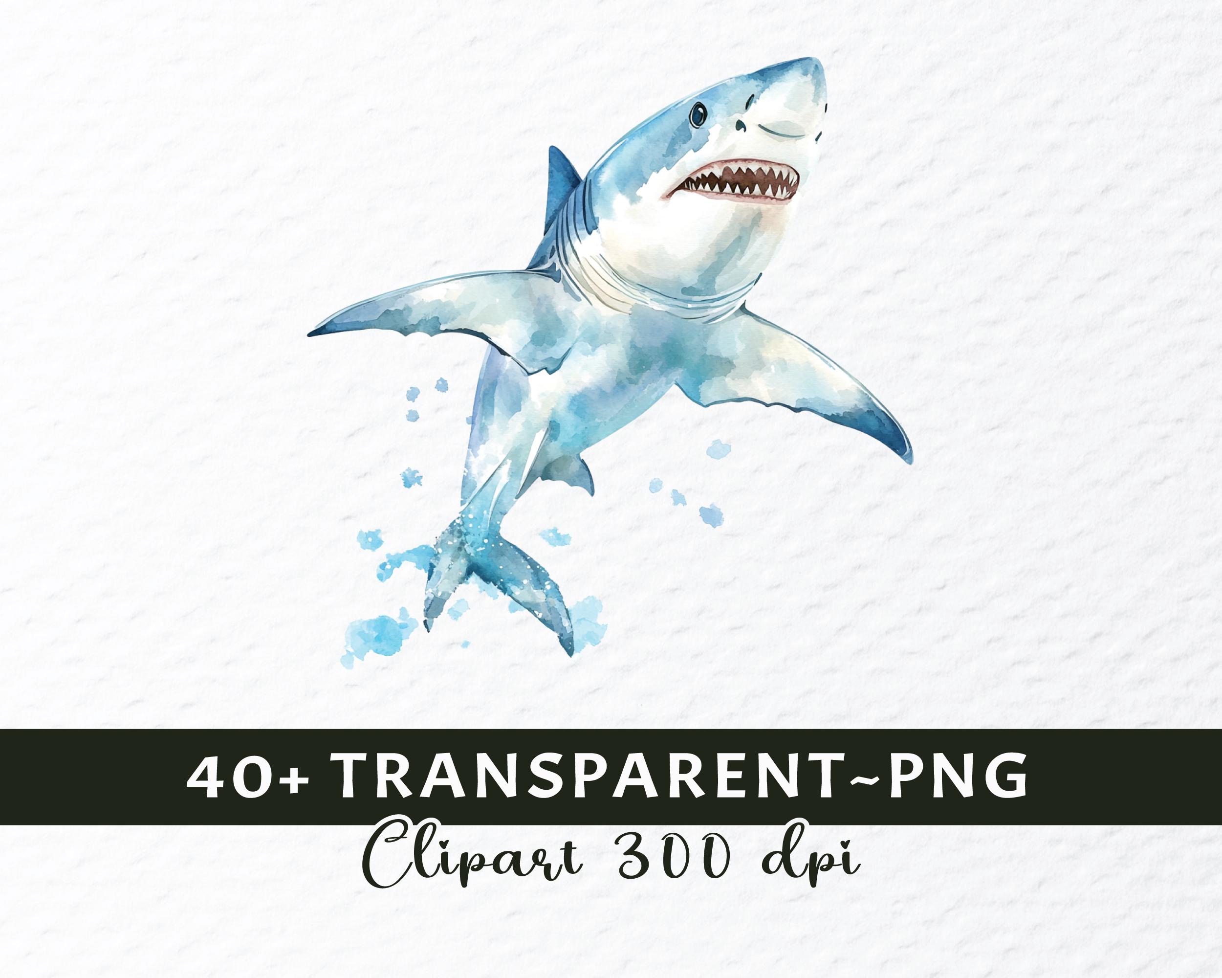 Watercolor Shark Clipart Bundle: Ocean Animal PNG Files (digital ...