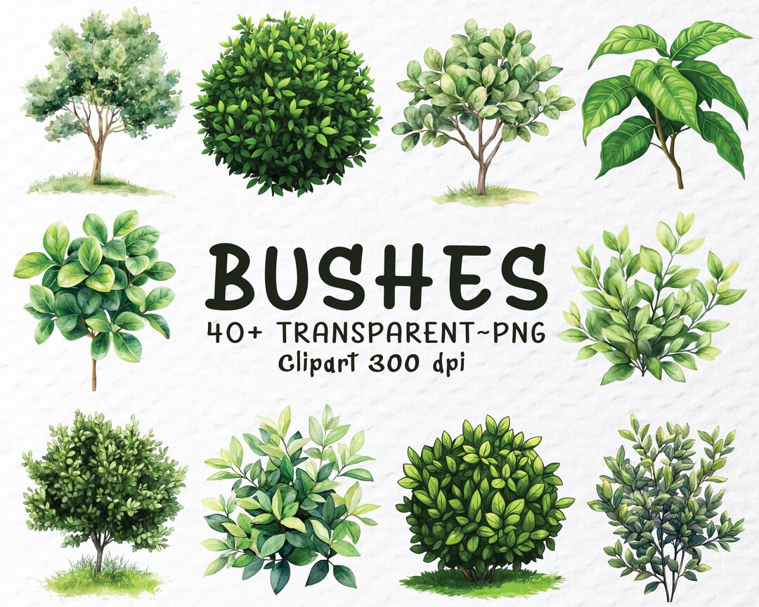 Watercolor Bushes PNG Clipart Bundle: Garden Botanical Graphics ...