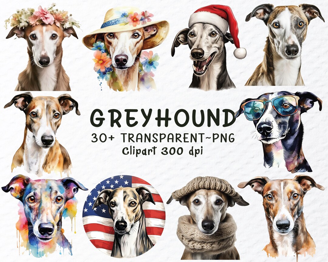 Greyhound Dog Png Clipart Bundle | Greyhound Decal Png Files, Dogs Png ...