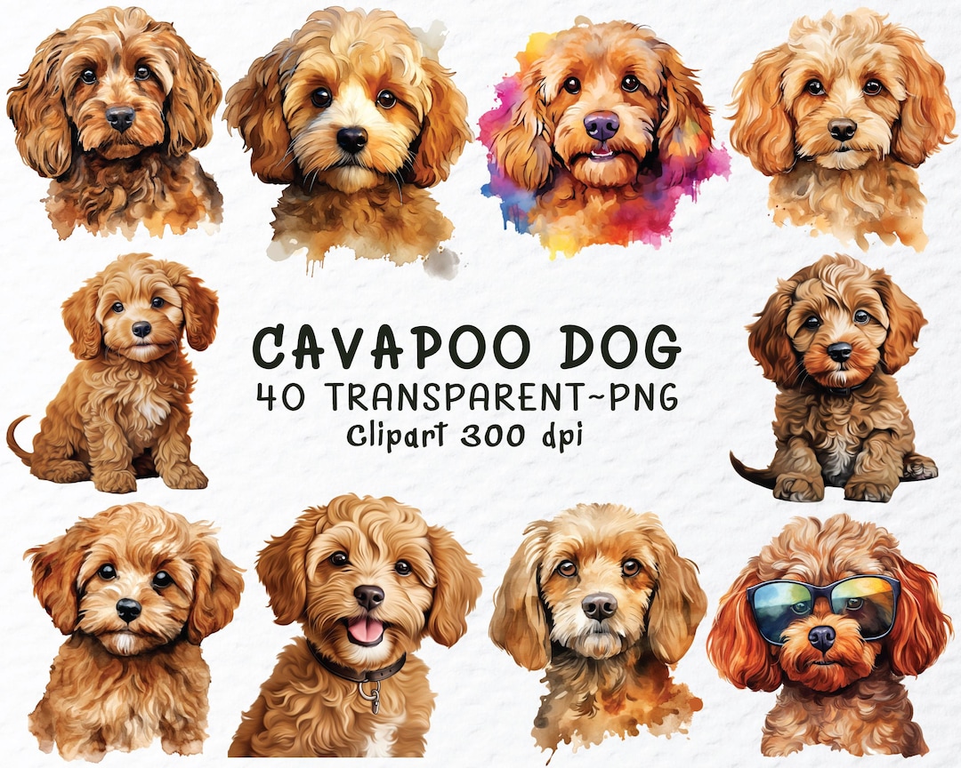 Cavapoo Dog Png Clipart | Cavapoo Dog Png File, Dogs Decal Clip Art ...