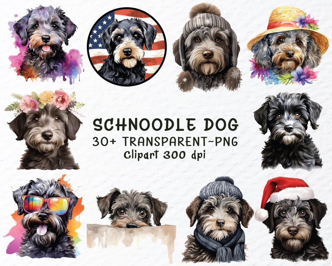 Schnoodle Dog Png Clipart Bundle | Schnoodle Decal Designs | Dogs Png ...