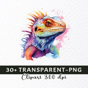 Watercolor Bearded Dragon Png Clipart Bundle | Bearded Dragon Png Files ...