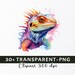Watercolor Bearded Dragon Png Clipart Bundle | Bearded Dragon Png Files ...