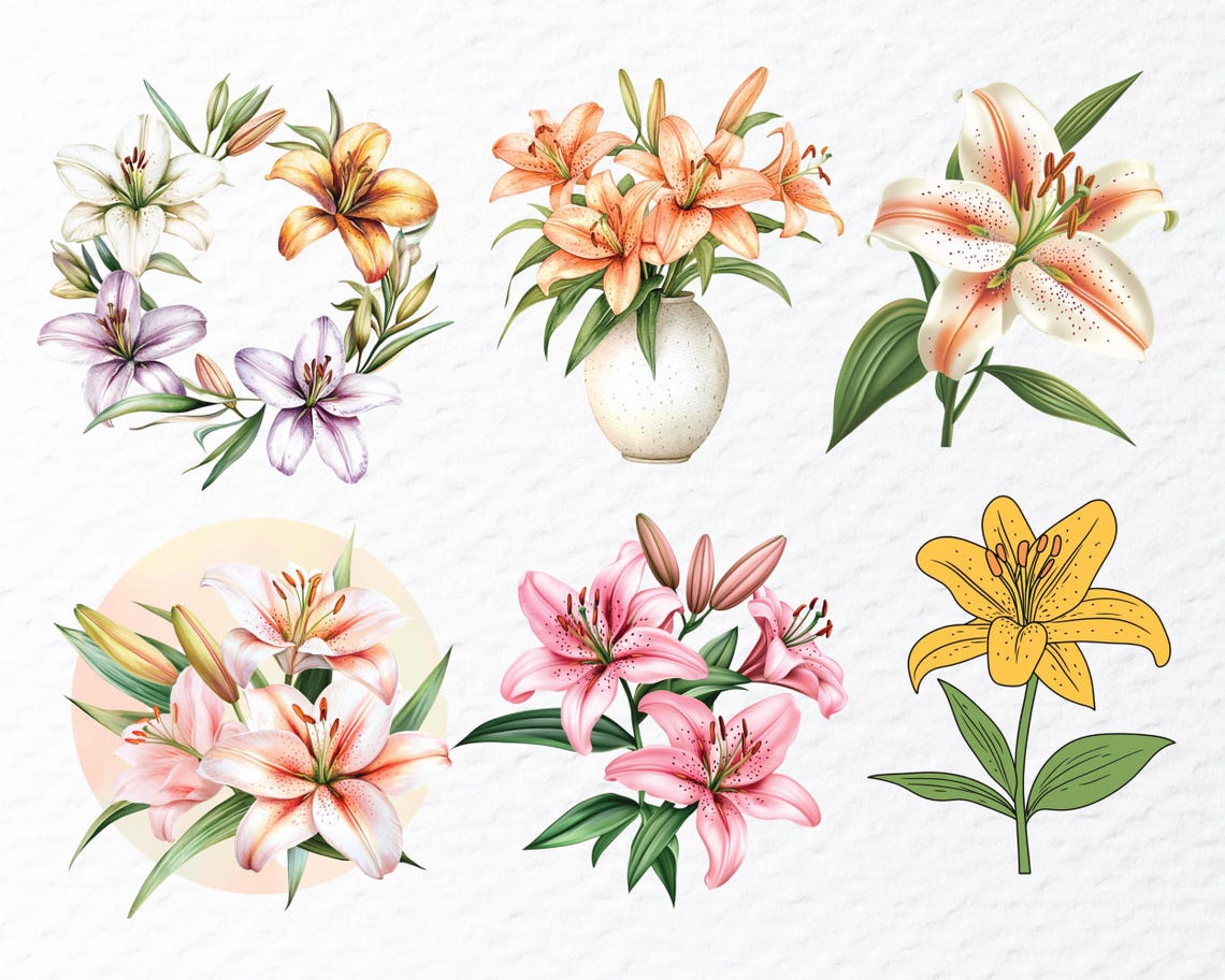 Watercolor Lily Flower Clipart Bundle: Transparent PNG Files ...