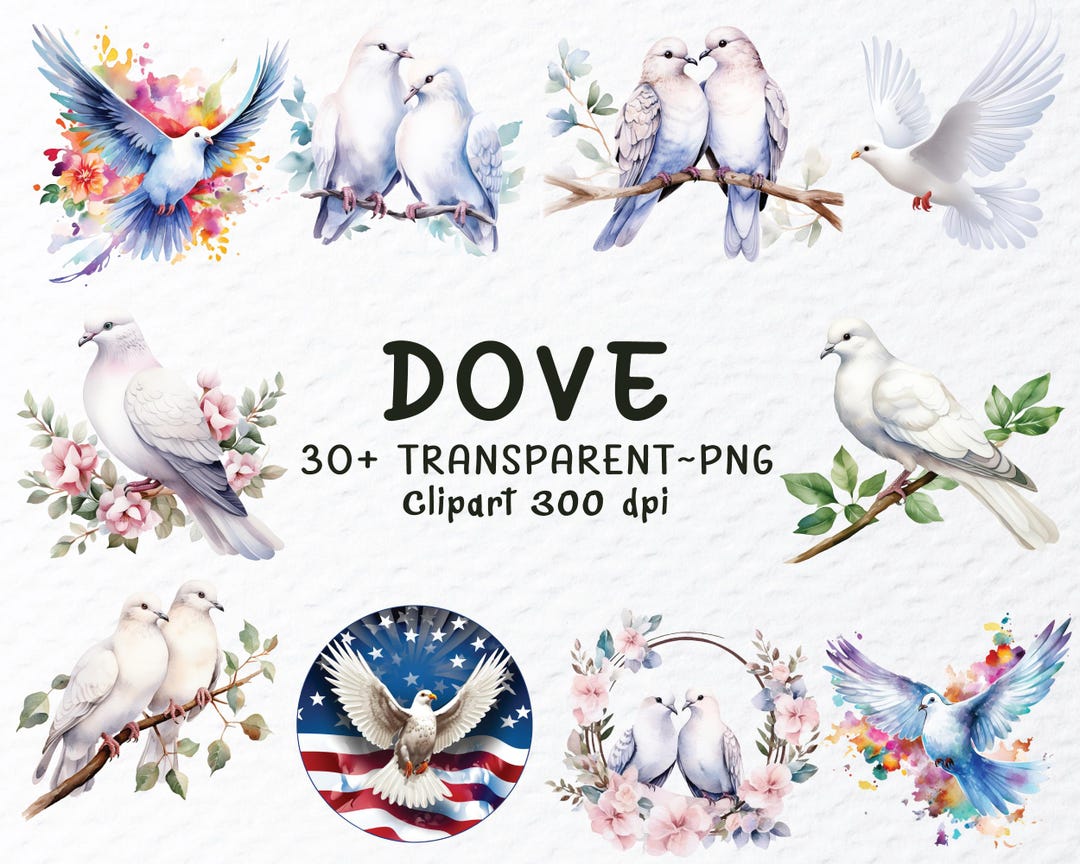 Aquarel duif png clipartbundel | Dove png-bestanden | Romantische ...