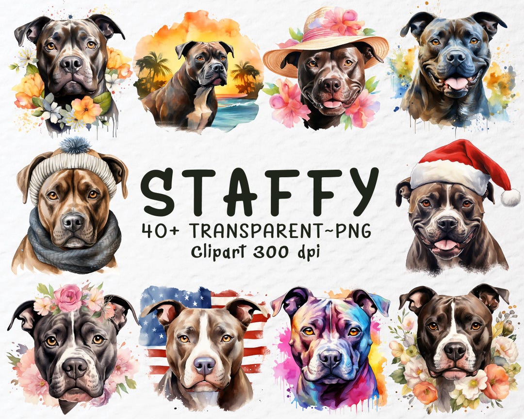 Staffy Clipart Bundle, Staffordshire Bull Terrier PNG, Dog Breed ...