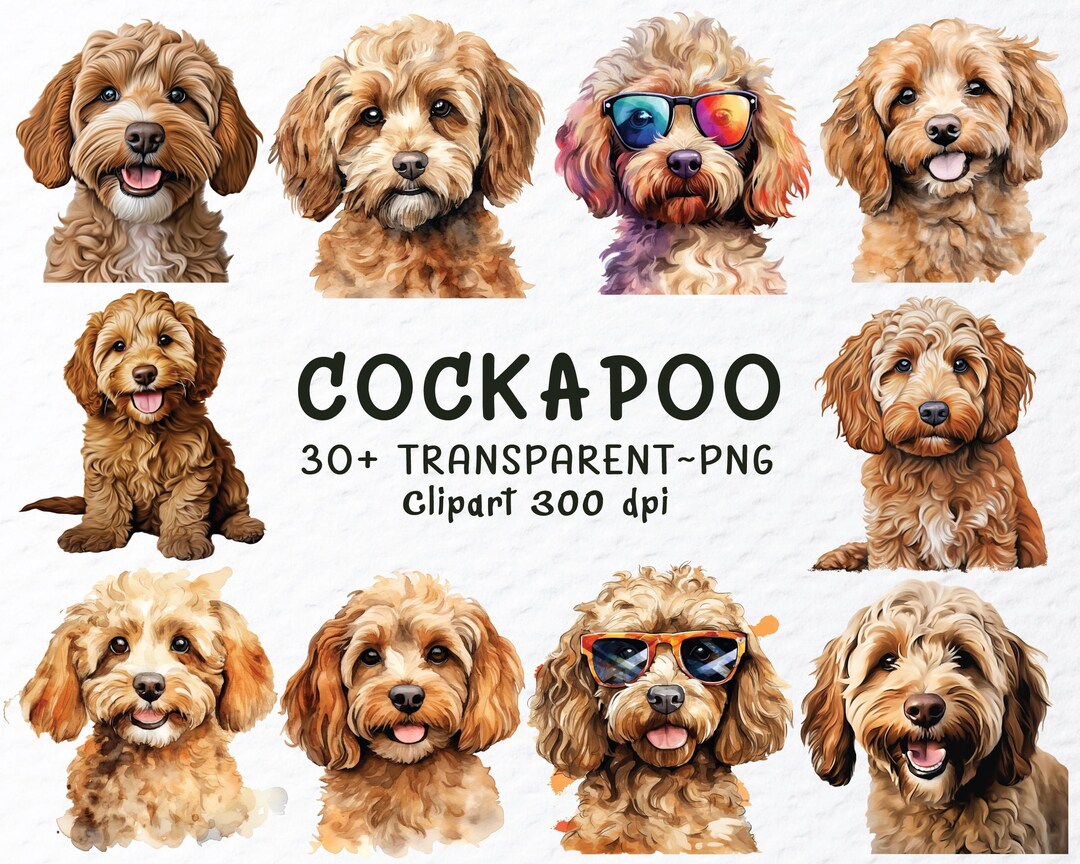 Cockapoo Dog Png Clipart Bundle | Cockapoo Decal Png Files, Cockapoo ...