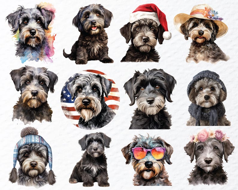 Watercolor Schnoodle Dog PNG Clipart Bundle (digital Download) - Etsy