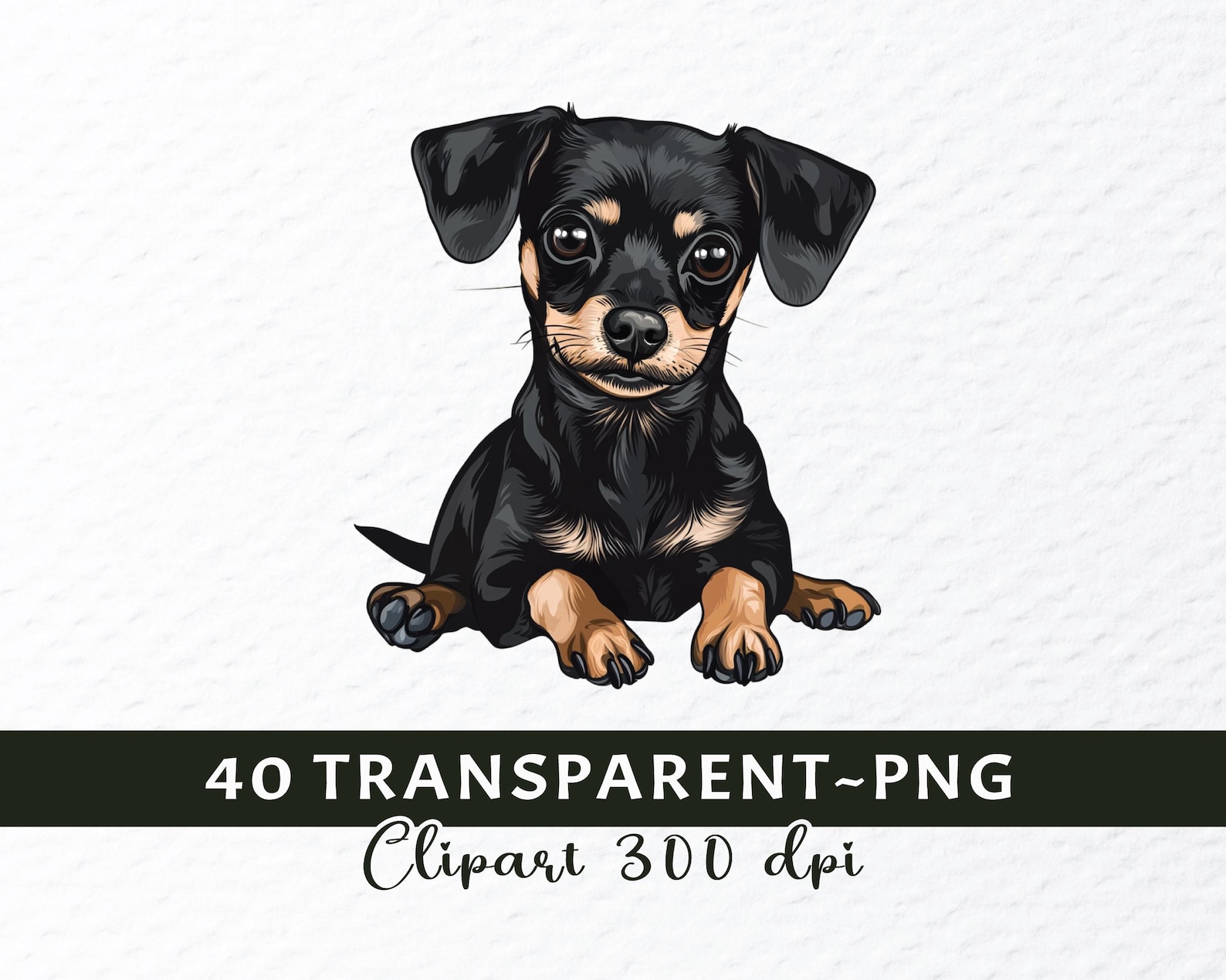 Watercolor Chiweenie Dog Clipart Bundle: Transparent PNG Designs ...