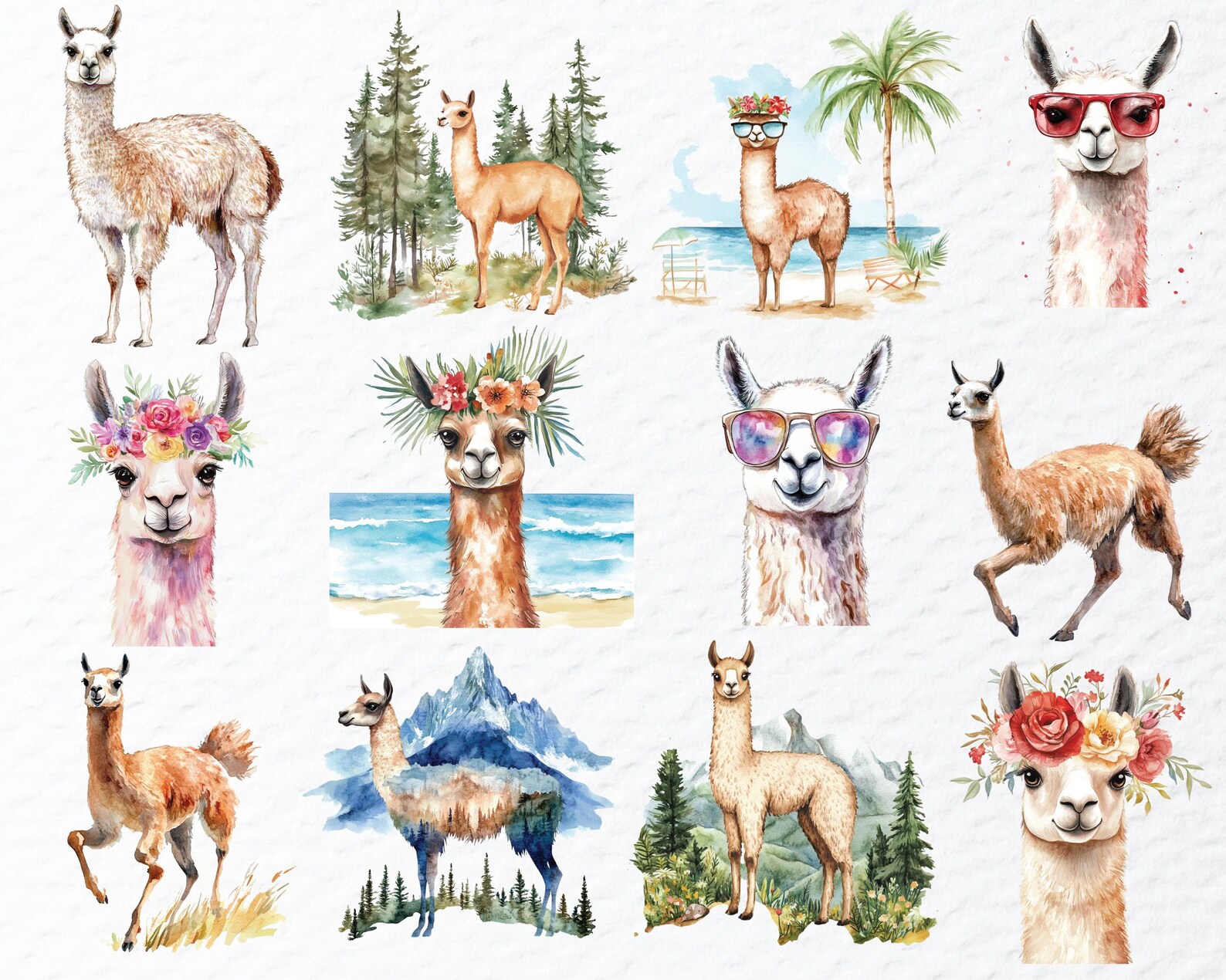 Watercolor Llama PNG Clipart Bundle: Farm Animal Graphics (digital ...