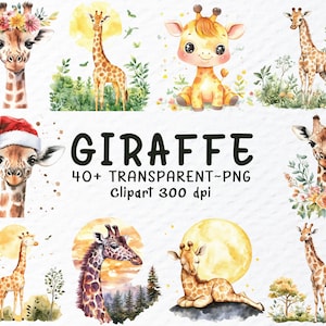 Watercolor Giraffe Clipart Bundle: Jungle Safari Animals (PNG Files) - Etsy
