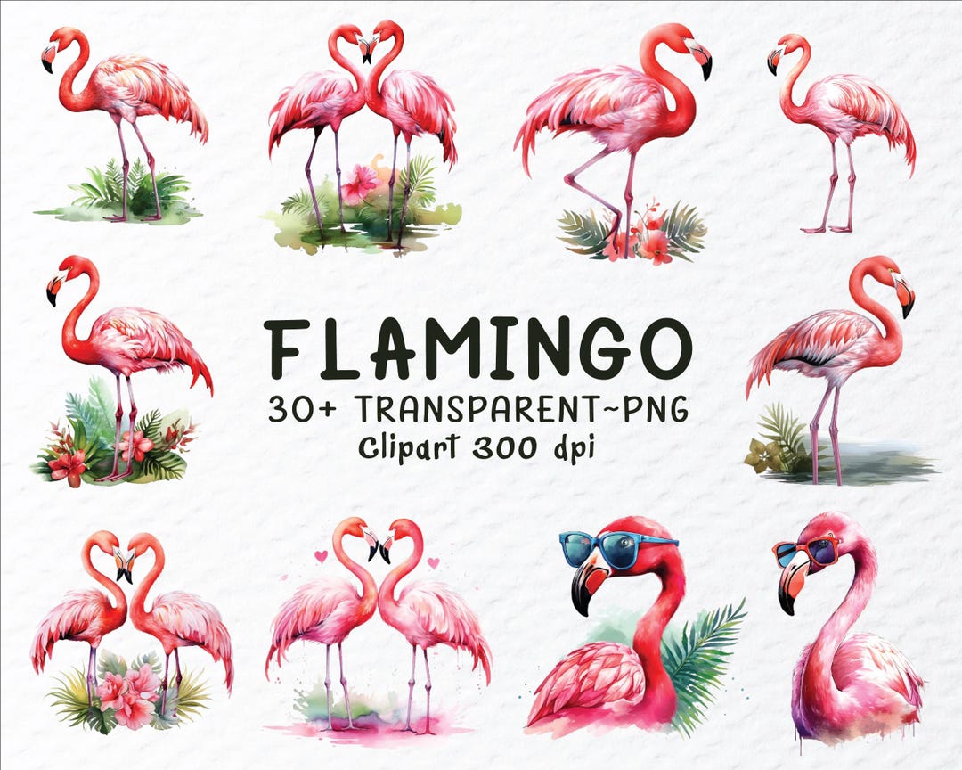 Watercolor Flamingos Png Clipart Bundle | Flamingos Png Files, Birds ...