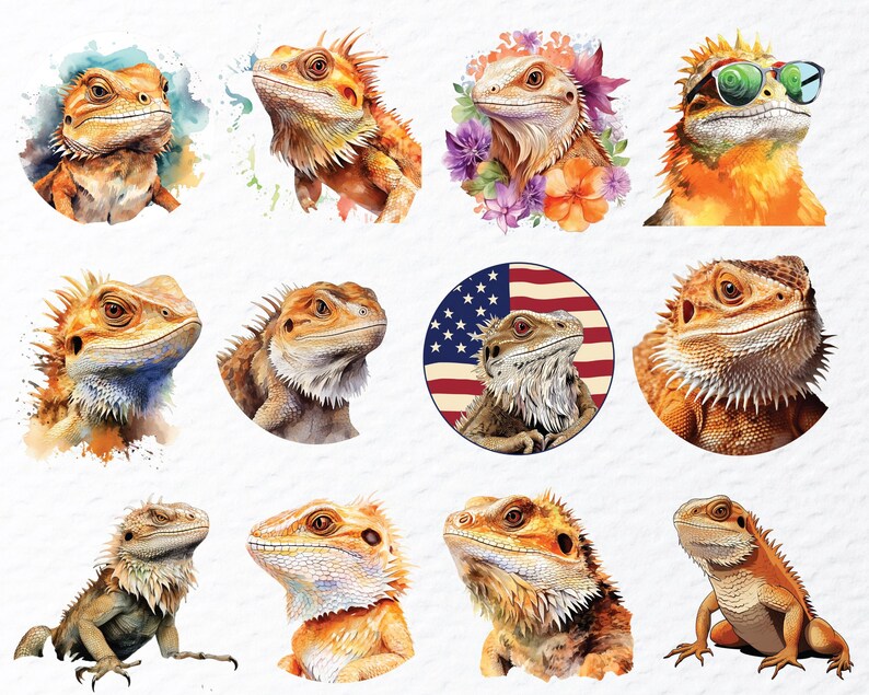 Watercolor Bearded Dragon Png Clipart Bundle | Bearded Dragon Png Files ...