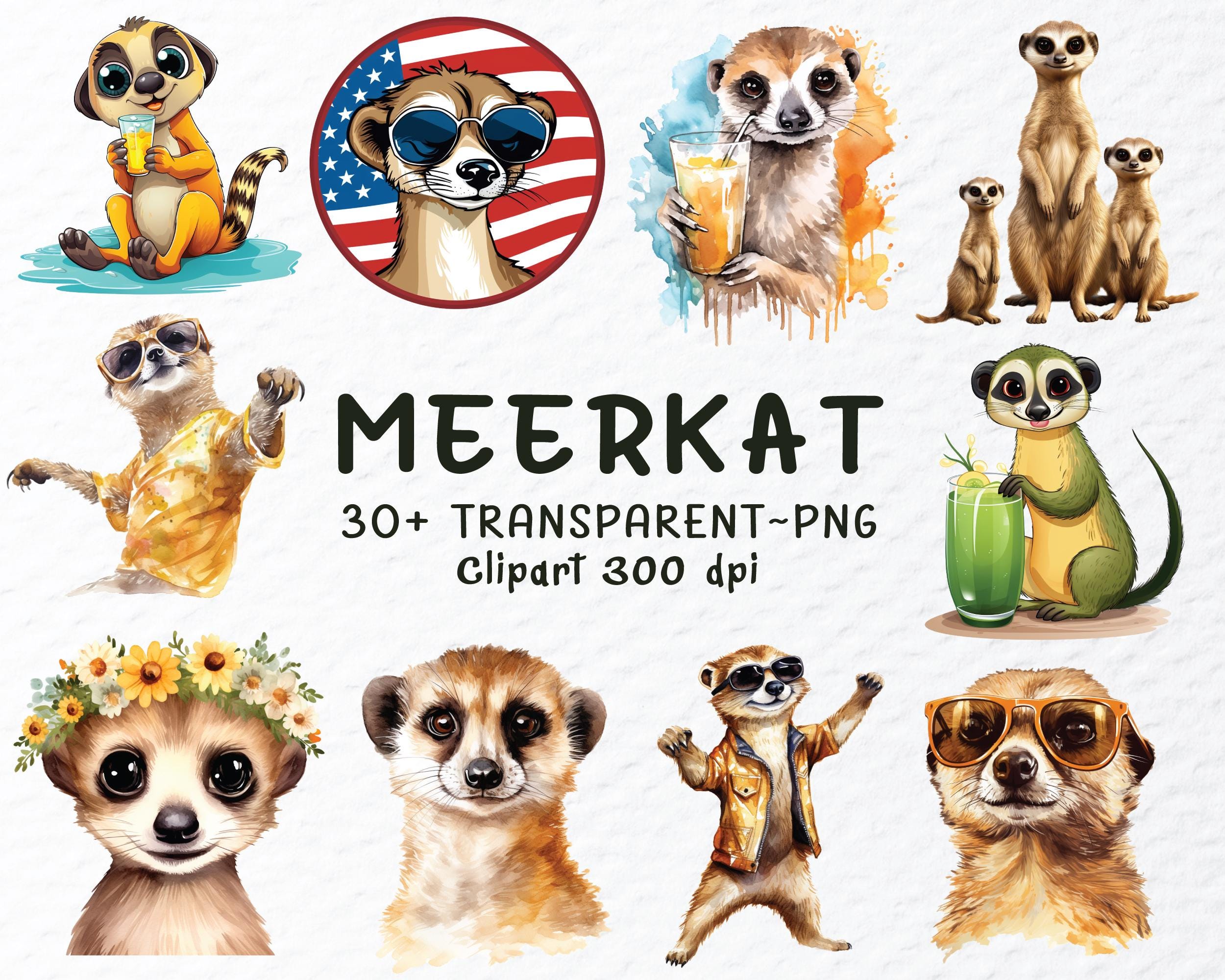 Meerkat Png Clipart Bundle, Watercolor Meerkat Png Files, Safari Animal ...