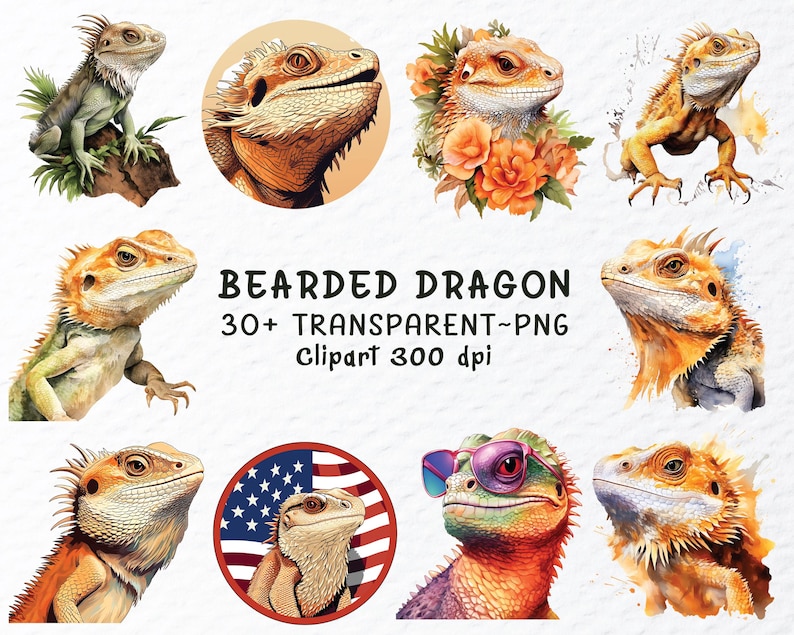 Watercolor Bearded Dragon Png Clipart Bundle | Bearded Dragon Png Files ...