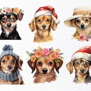 Watercolor Chiweenie Dog Clipart Bundle: Transparent PNG Files - Etsy