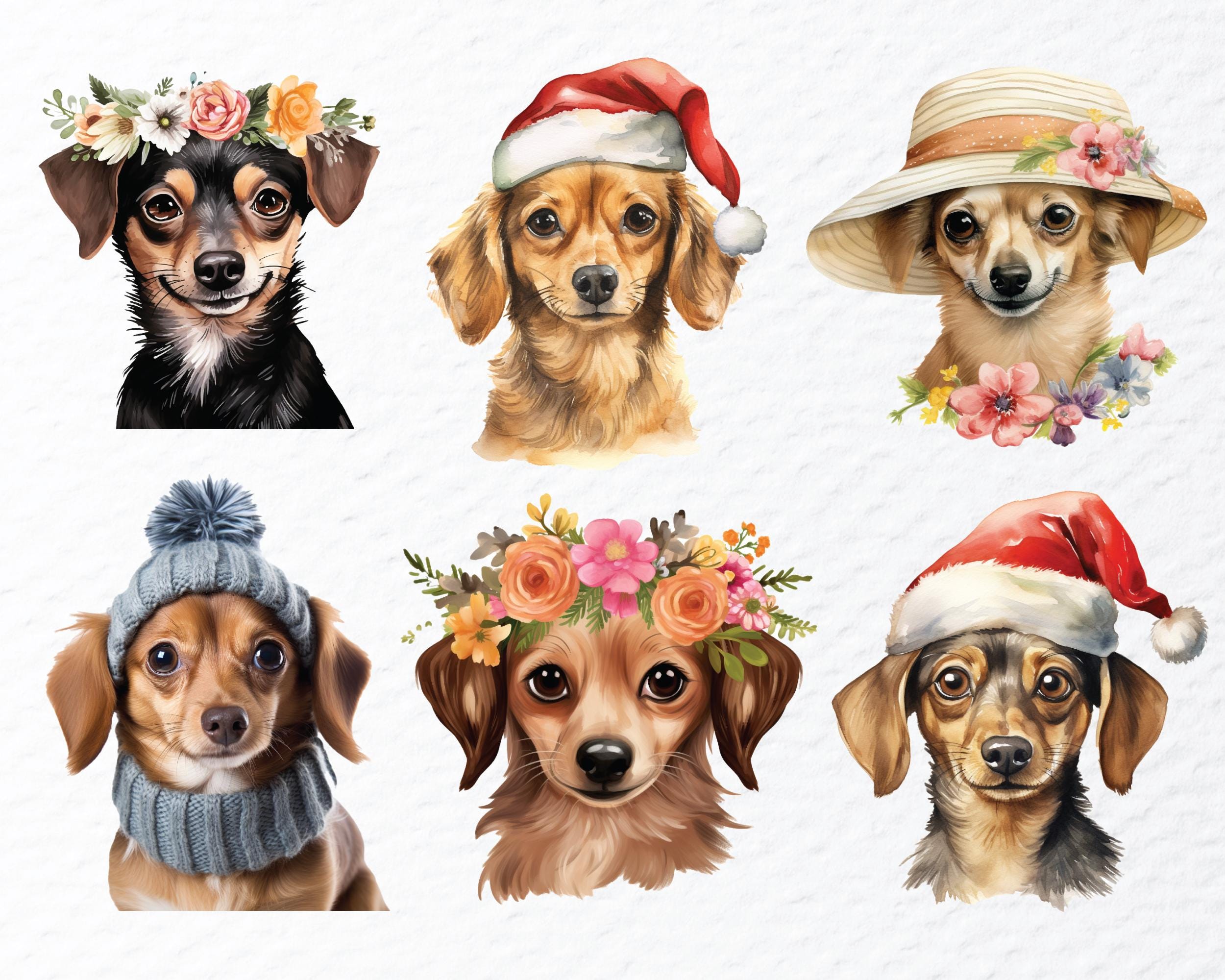 Watercolor Chiweenie Dog Clipart Bundle: Transparent PNG Files - Etsy