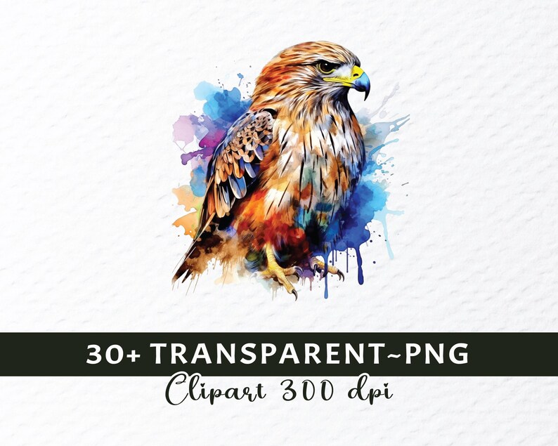 Watercolor Hawk Png Clipart Bundle, Hawk Png Files, Cooper's Hawk ...