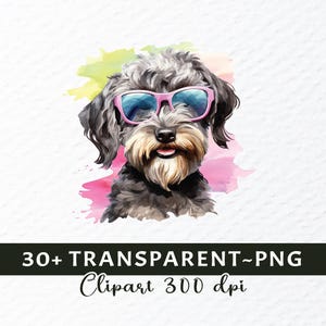 Schnoodle Dog Png Clipart Bundle | Schnoodle Decal Designs | Dogs Png ...