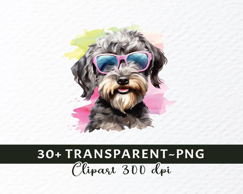 Watercolor Schnoodle Dog PNG Clipart Bundle (digital Download) - Etsy